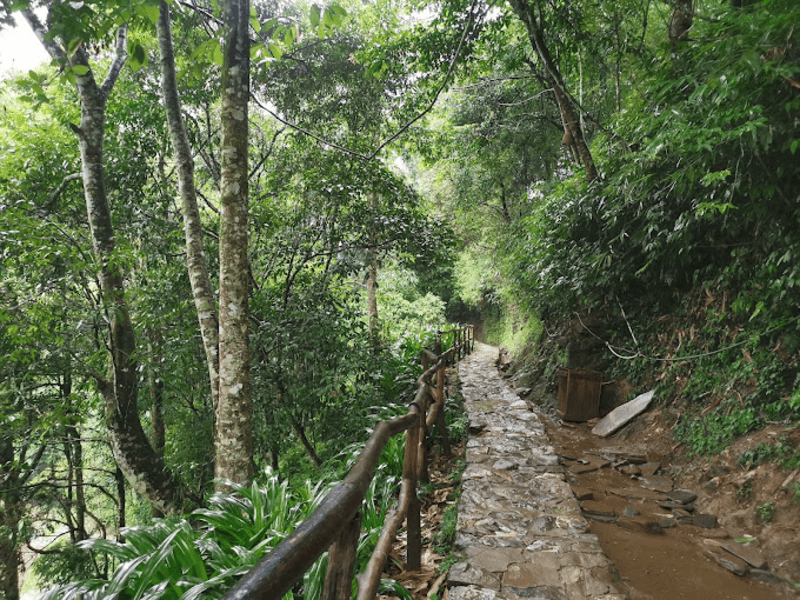 Bản Cát Cát Sapa- Ngôi làng cổ kính vùng Tây Bắc | Vé Cáp Treo Fansipan ...
